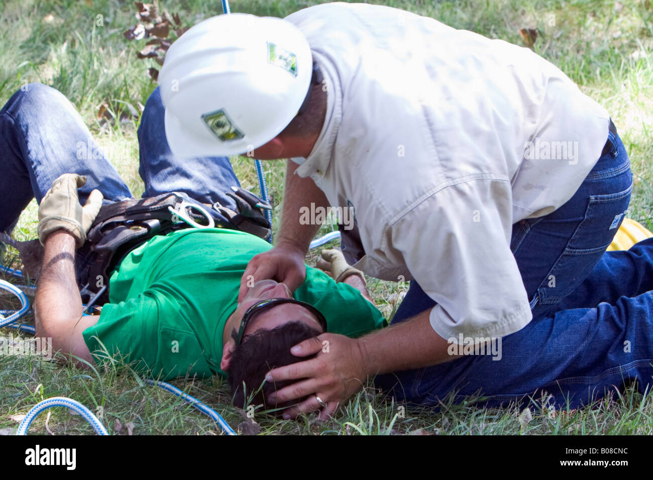 Tree rescue demonstration Stock Photo - Alamy