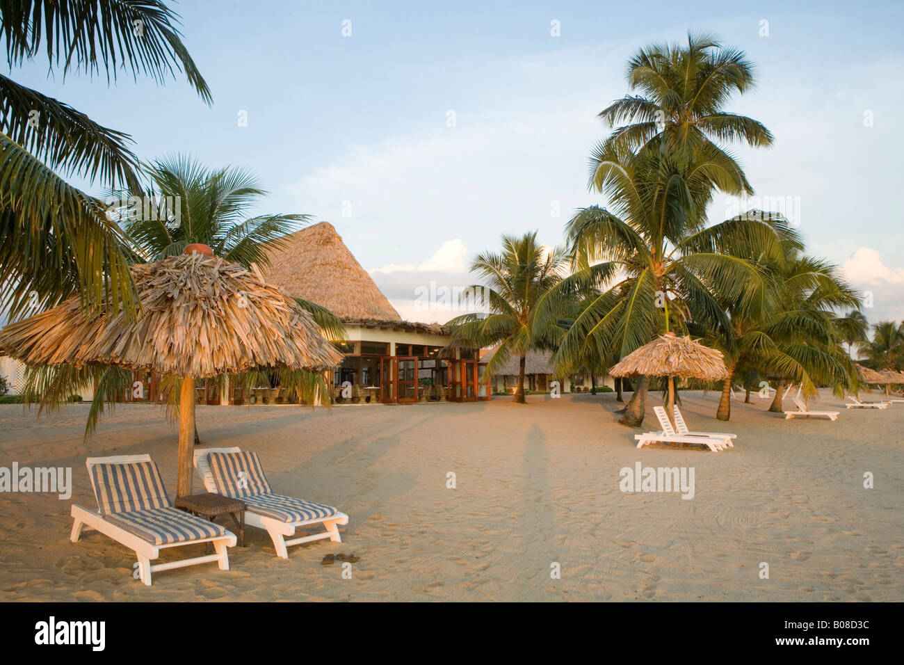 Thatched palapas, palm trees and lounge chairs on beach, Jaguar Reef ...