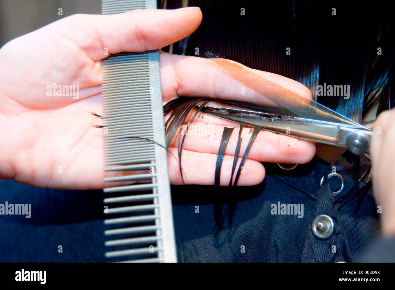 Close up of hair being cut Stock Photo - Alamy