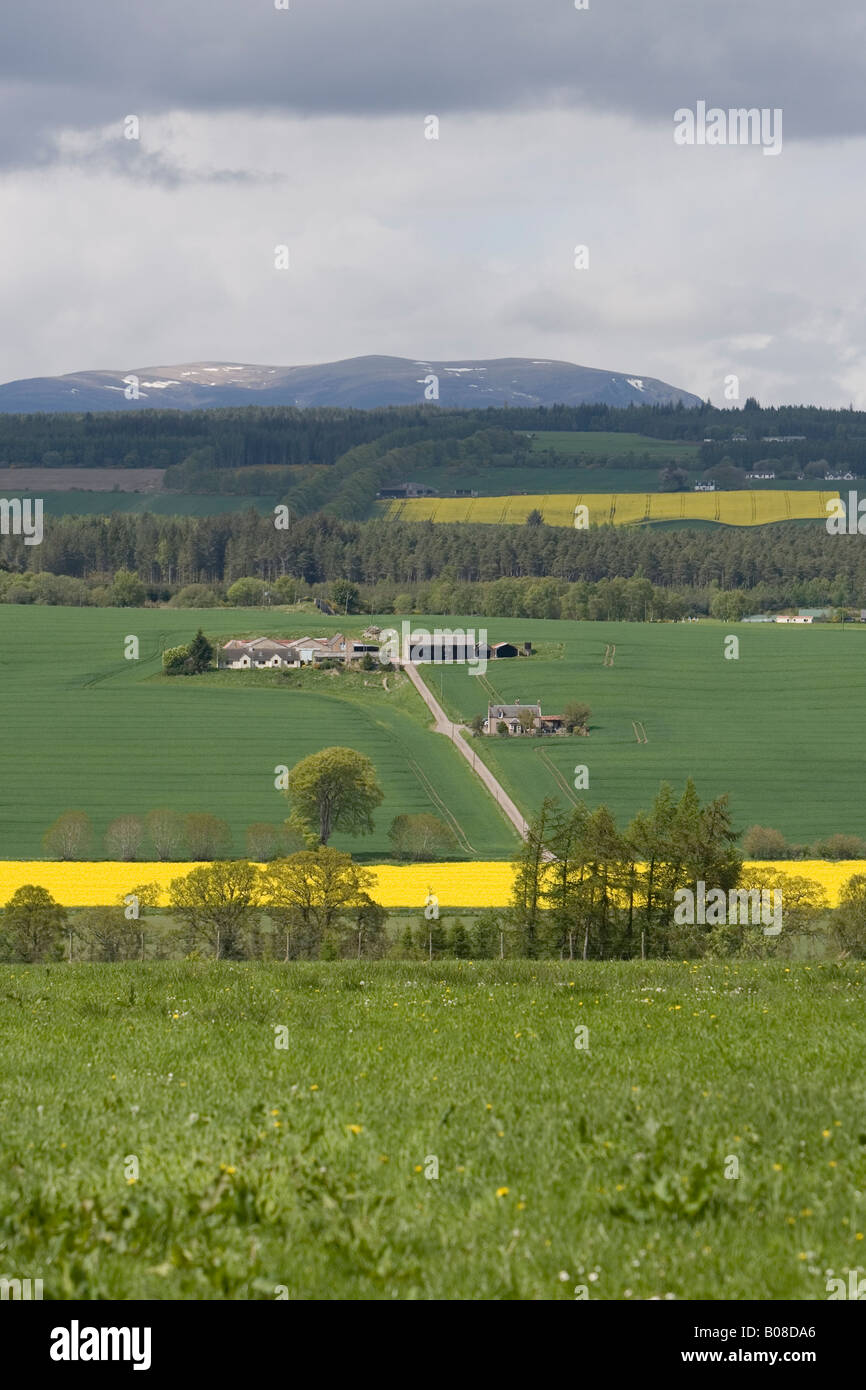 Farming scene, Black Isle, near Inverness, Scotland UK Stock Photo - Alamy
