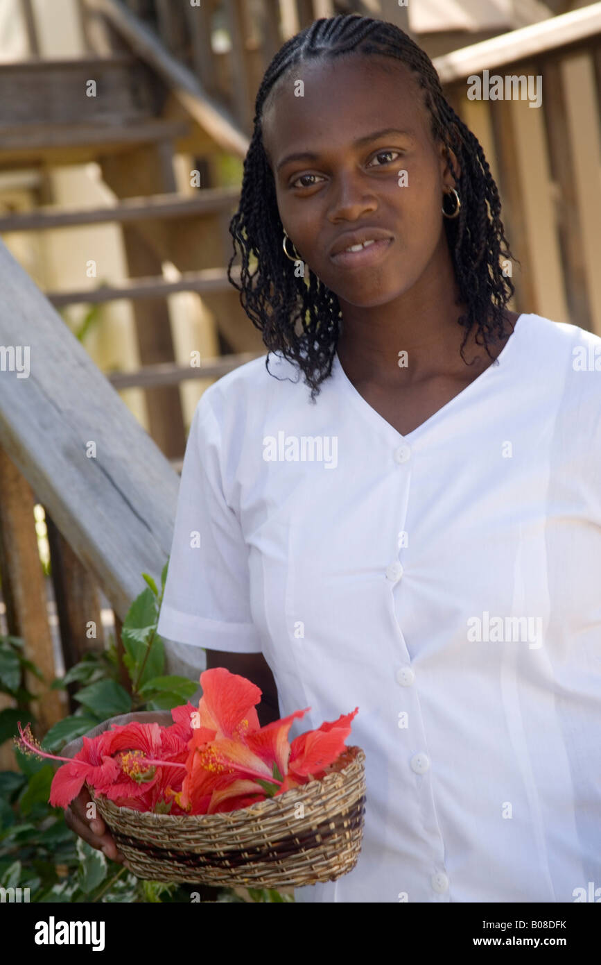 Female maid with basket of hibiscus flowers, Jaguar Reef Lodge, Hopkins ...