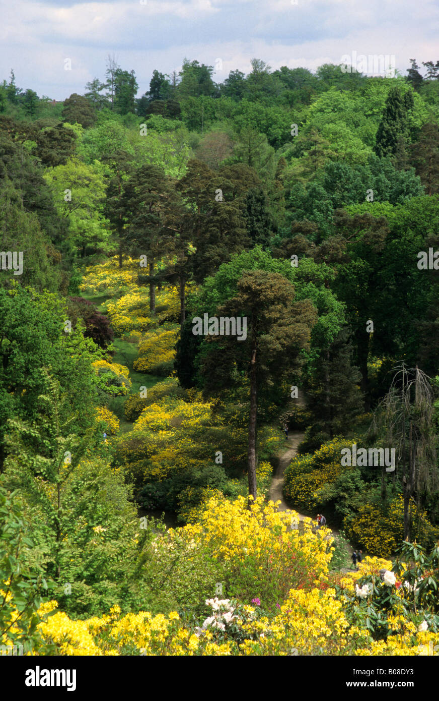 Leonardslee Gardens Lower Beeding West Sussex one of England s most ...