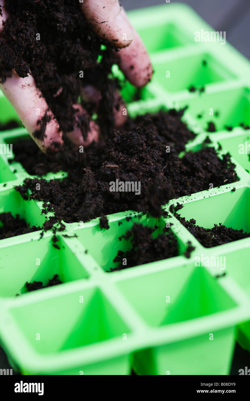 Propagation by seed hi-res stock photography and images - Alamy