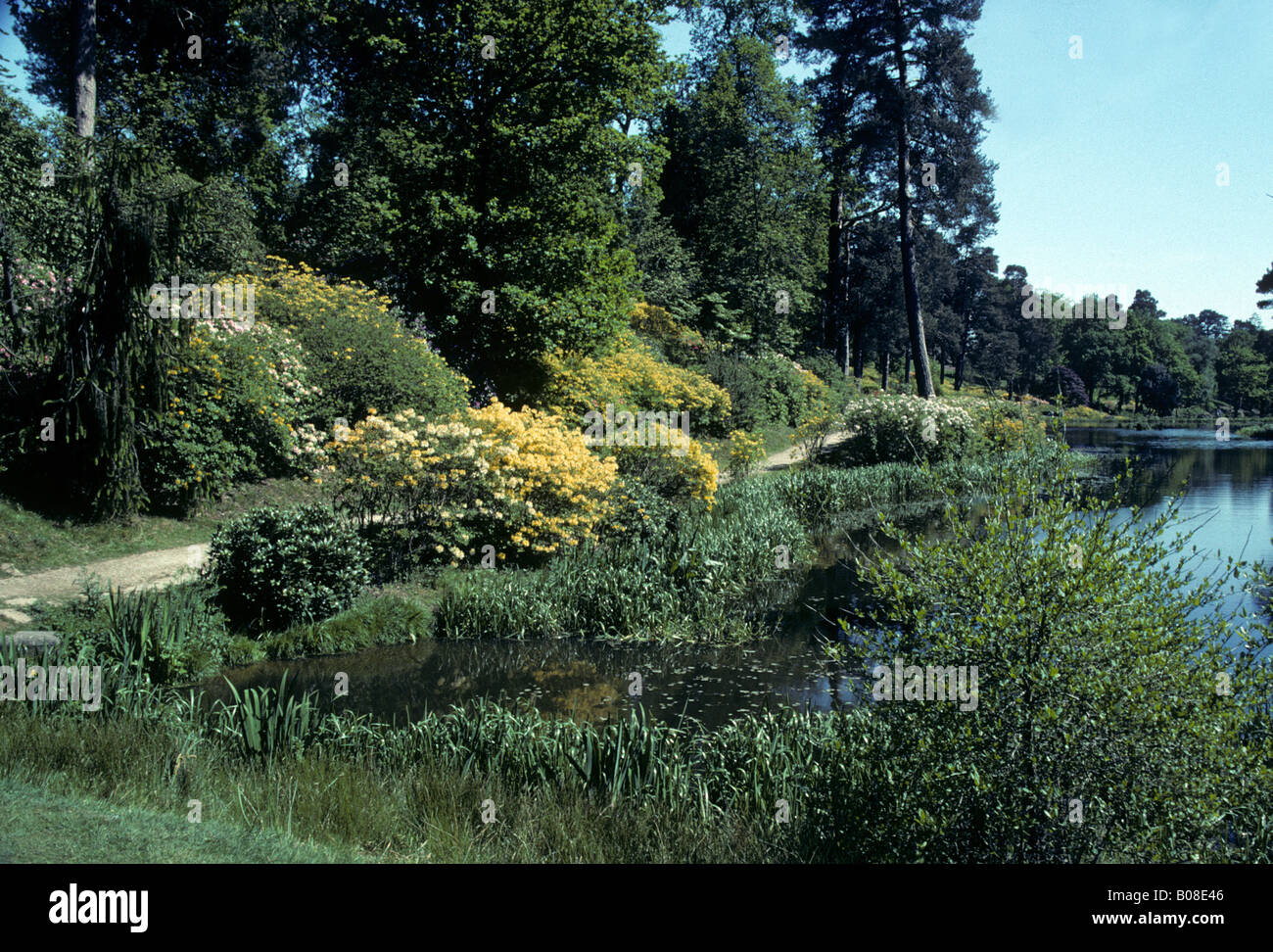 Leonardslee Gardens Lower Beeding West Sussex one of England s most ...