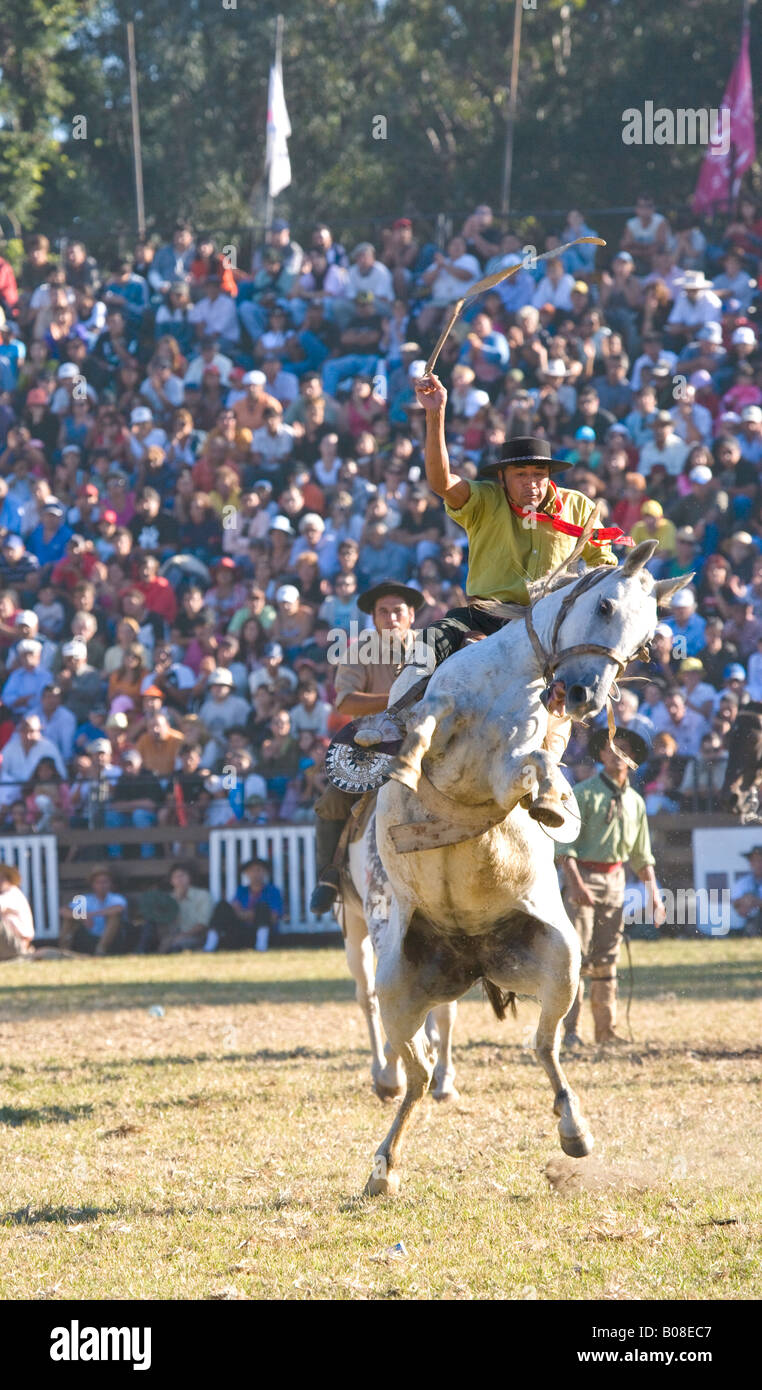 rodeo horse fiesta gaucho cow-boy cowboy danger Stock Photo - Alamy