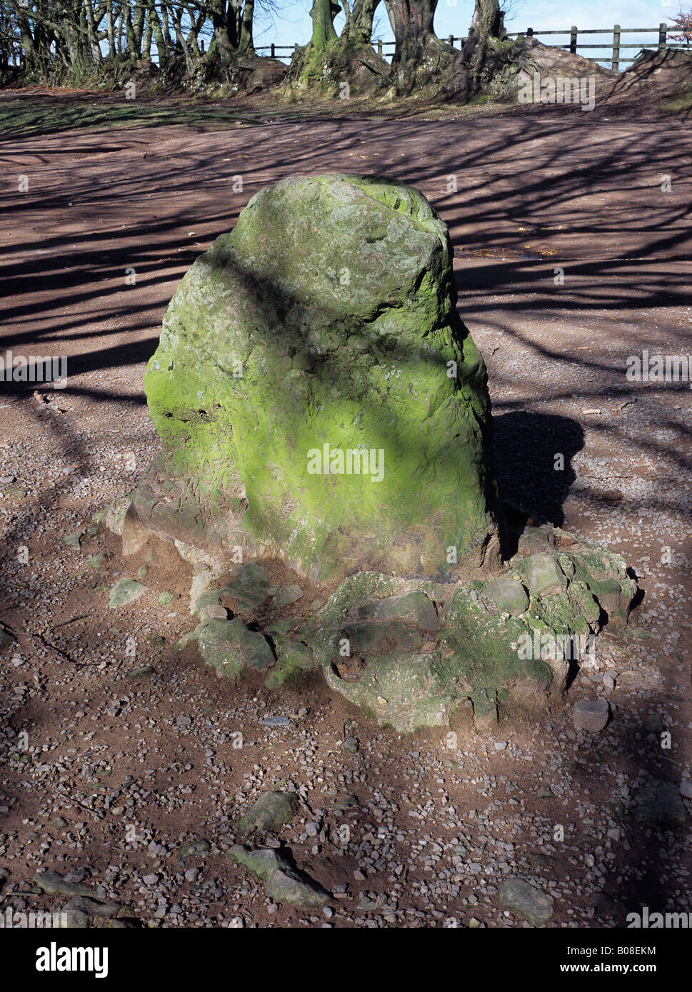 Triscombe stone hi-res stock photography and images - Alamy