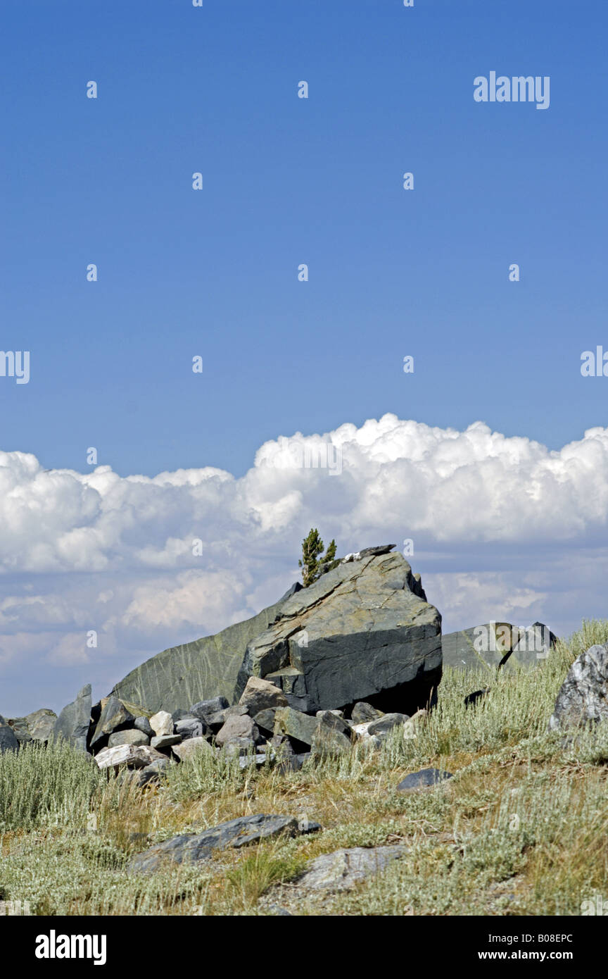 alpine meadow with rocks Stock Photo - Alamy