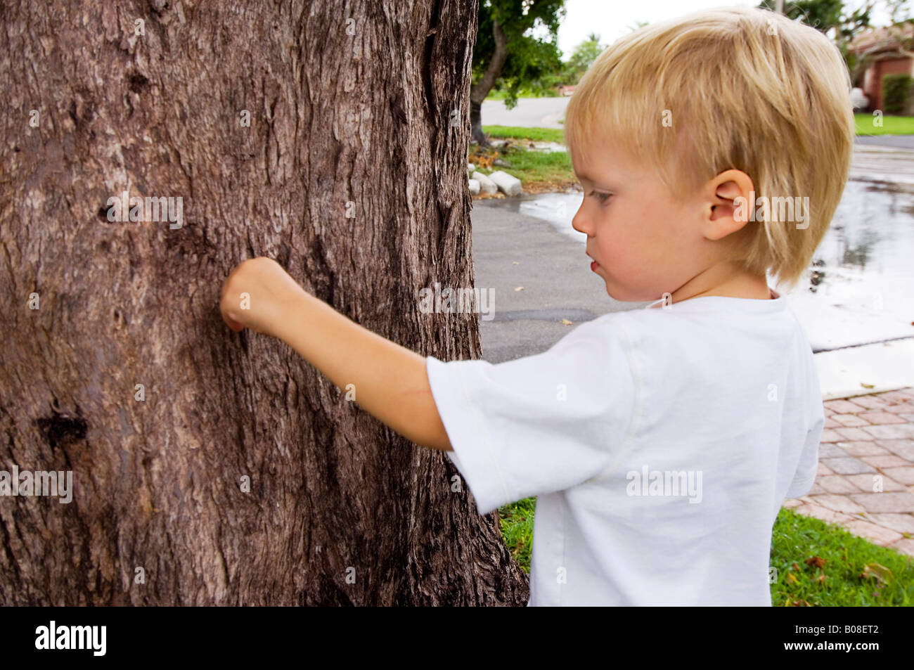 Little boy playing with tree bark Stock Photo - Alamy
