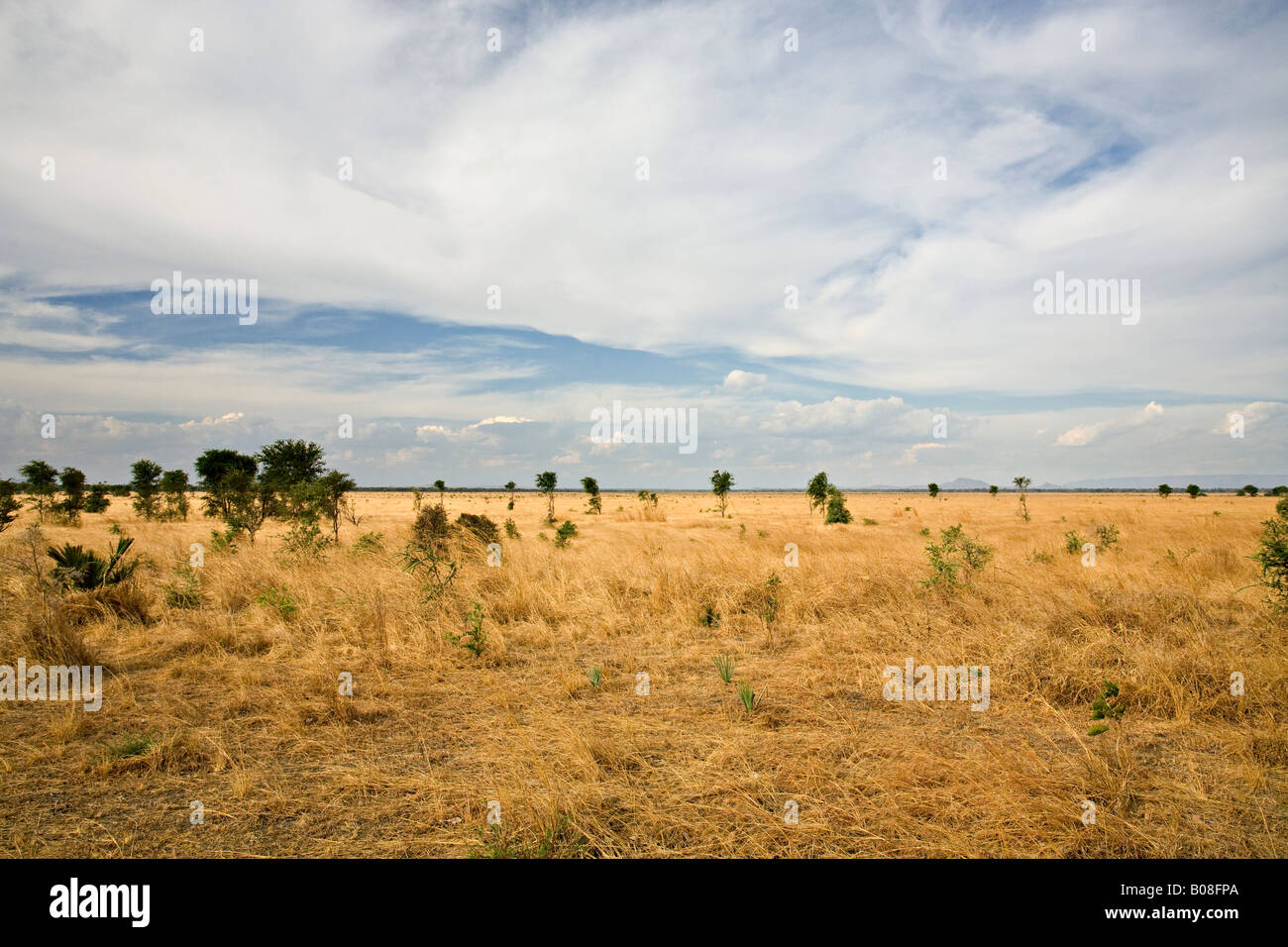 Chada katavi hi-res stock photography and images - Alamy