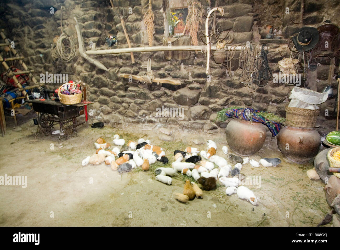 South America - Peru. Inside a typical home in the village of ...