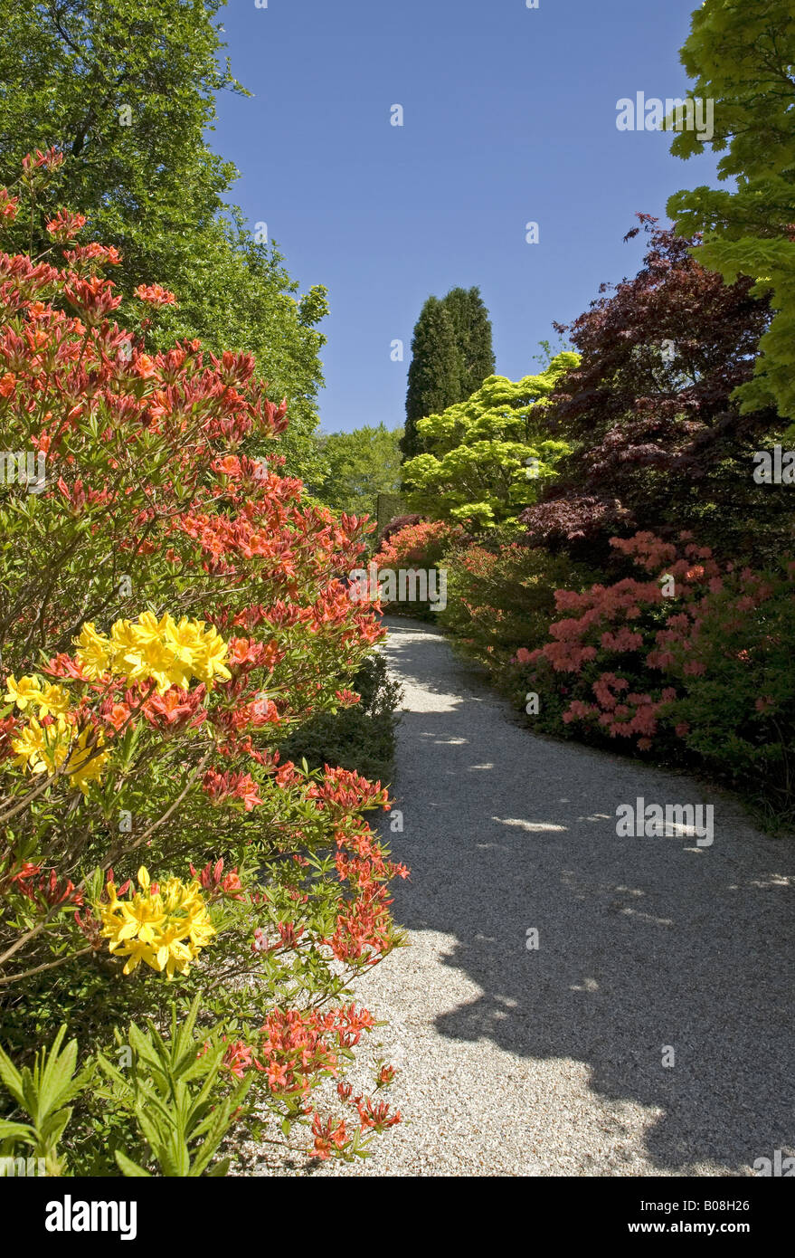 Landscape gardens trees flowers azalea hi-res stock photography and ...