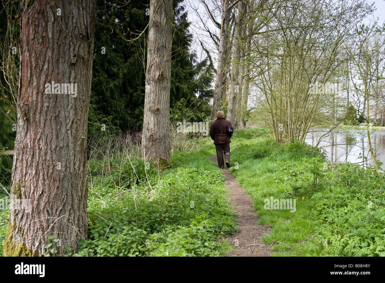 A Walk along the river Bure near Oxnead Mill "North Norfolk" UK Stock ...
