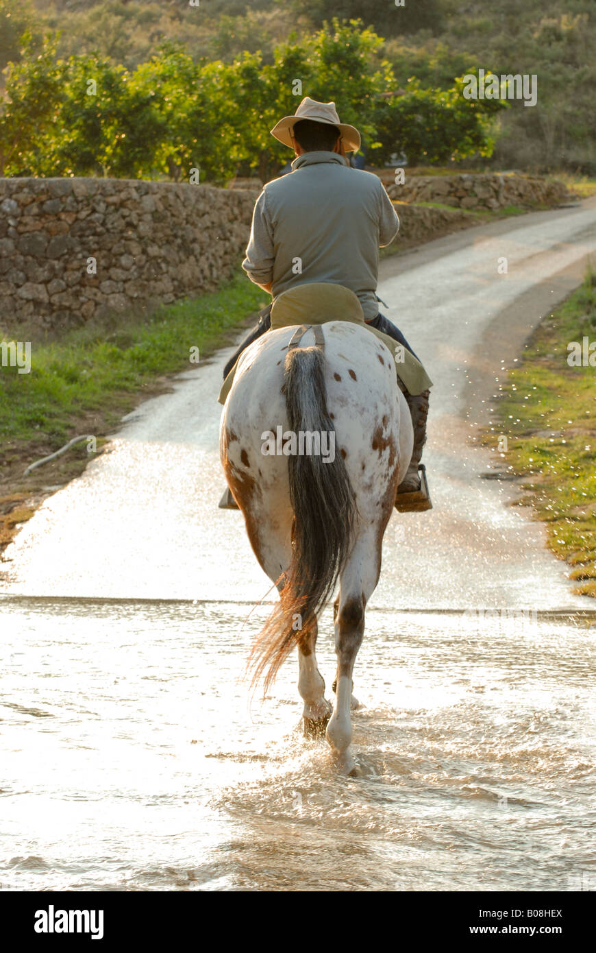 Man riding horse through stream Stock Photo - Alamy