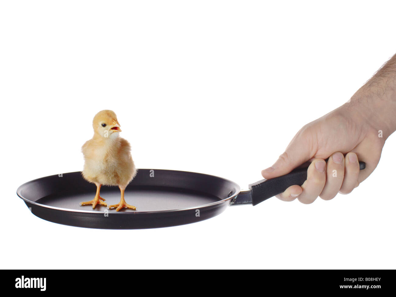 Dinner’s almost ready Stock Photo - Alamy