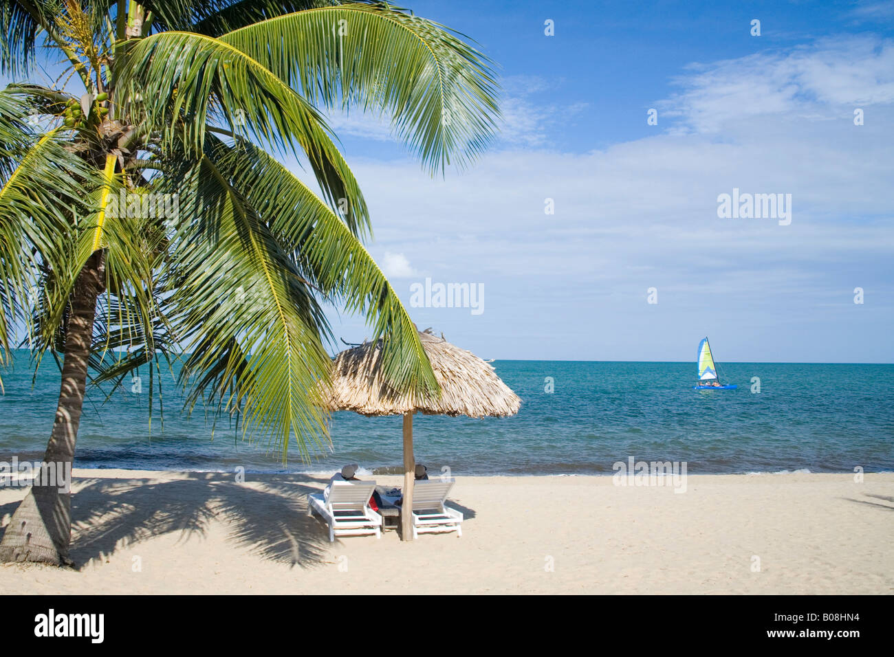 Thatched palapas, palm tree and lounge chairs on beach, looking out to ...