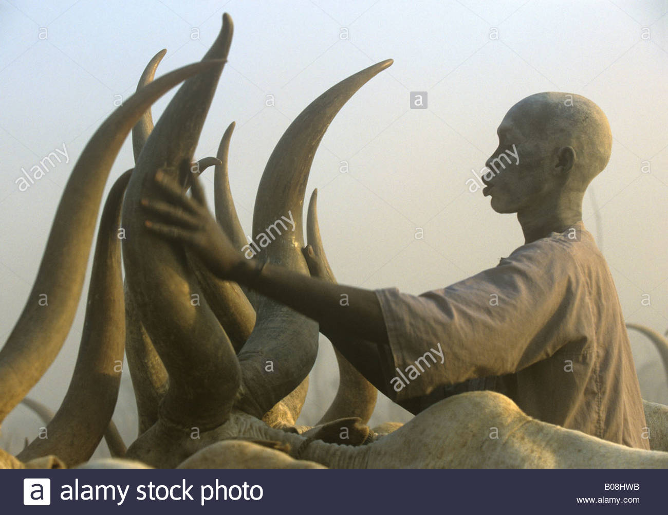 Dinka Cattle Stock Photos & Dinka Cattle Stock Images - Alamy