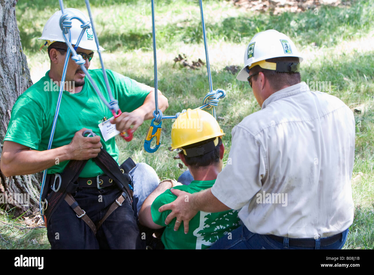 Tree rescue demonstration Stock Photo - Alamy