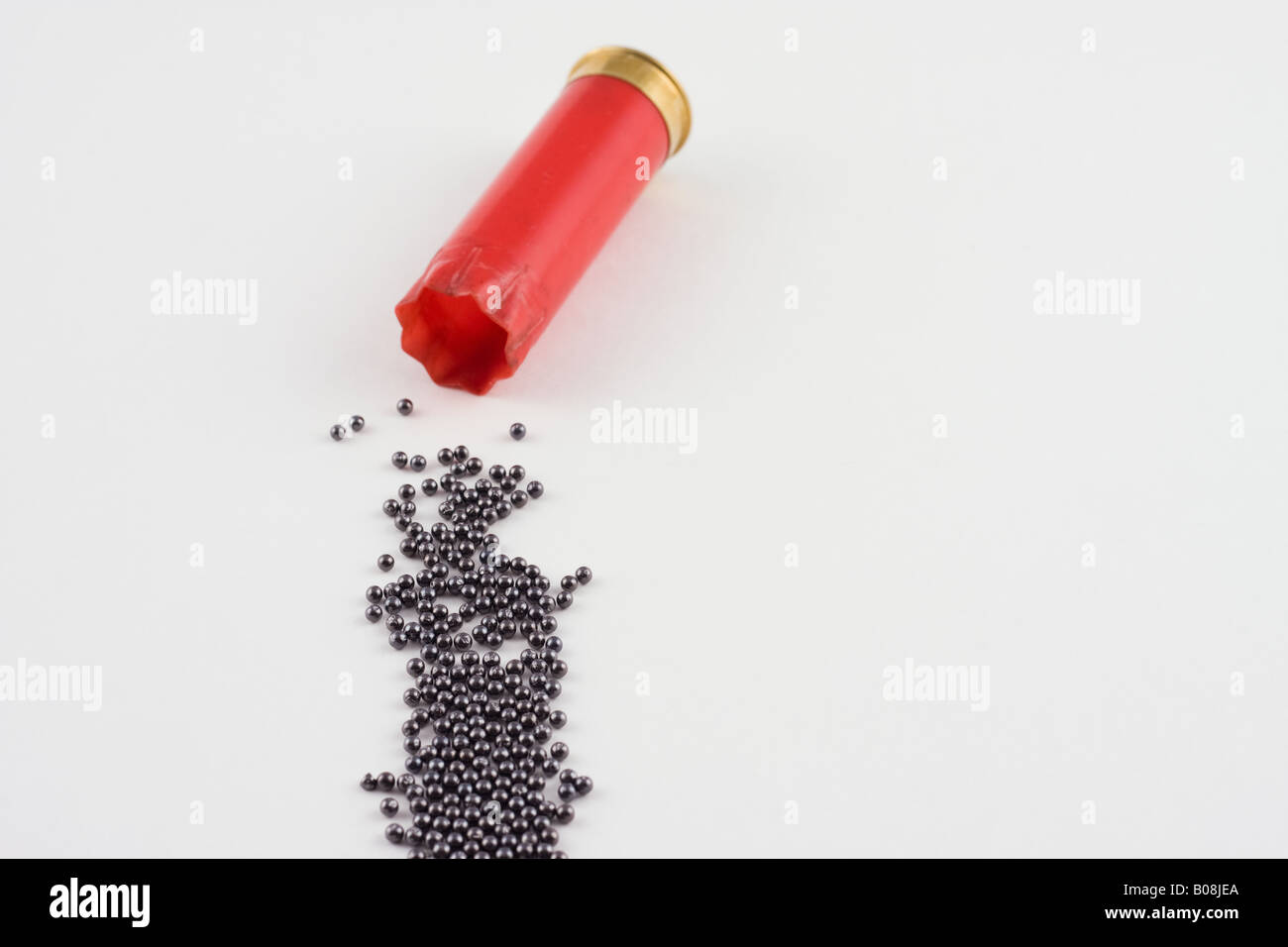 Spent Shotgun Shells