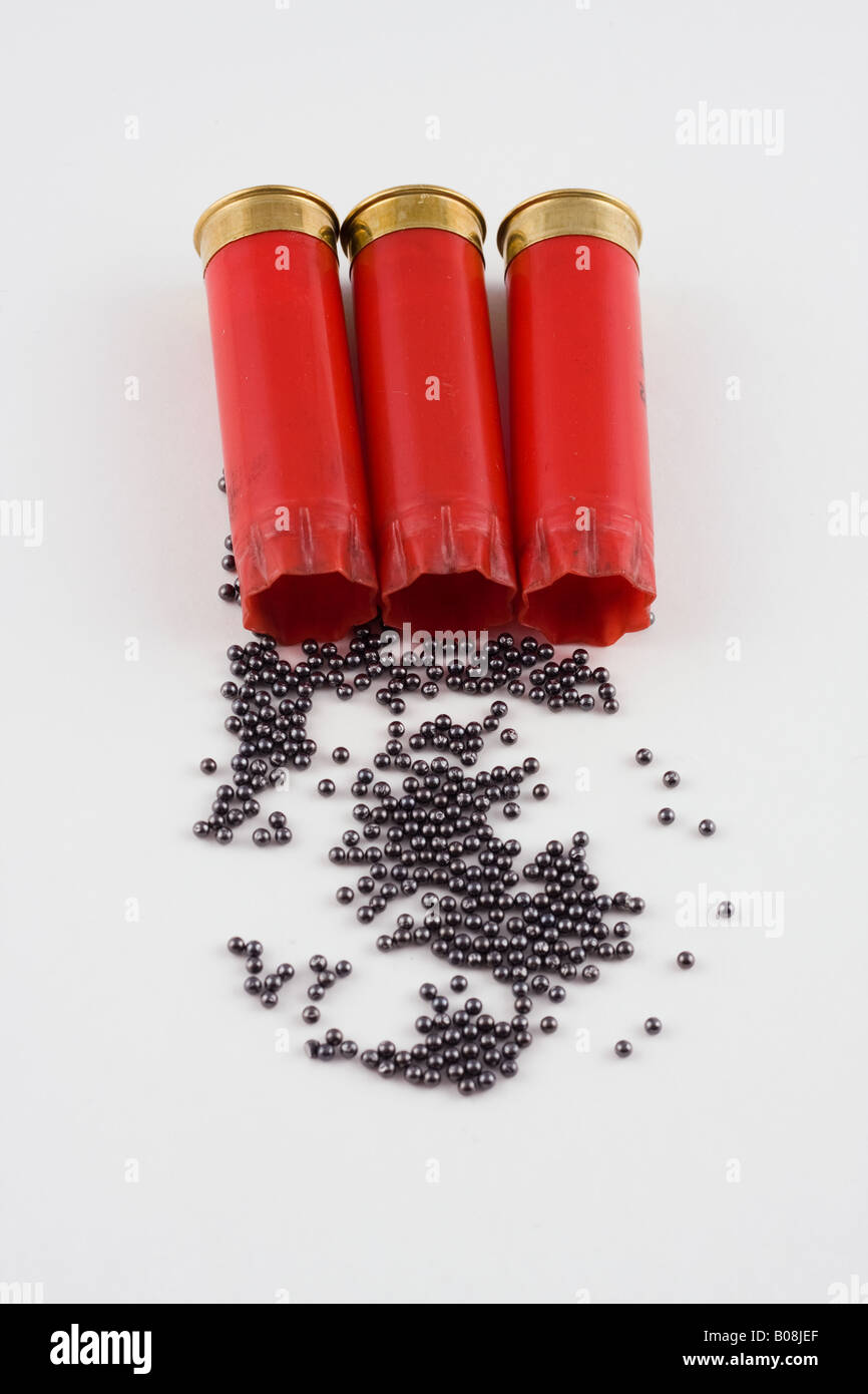 12 Gauge Shotgun Shells Stock Photo - Alamy