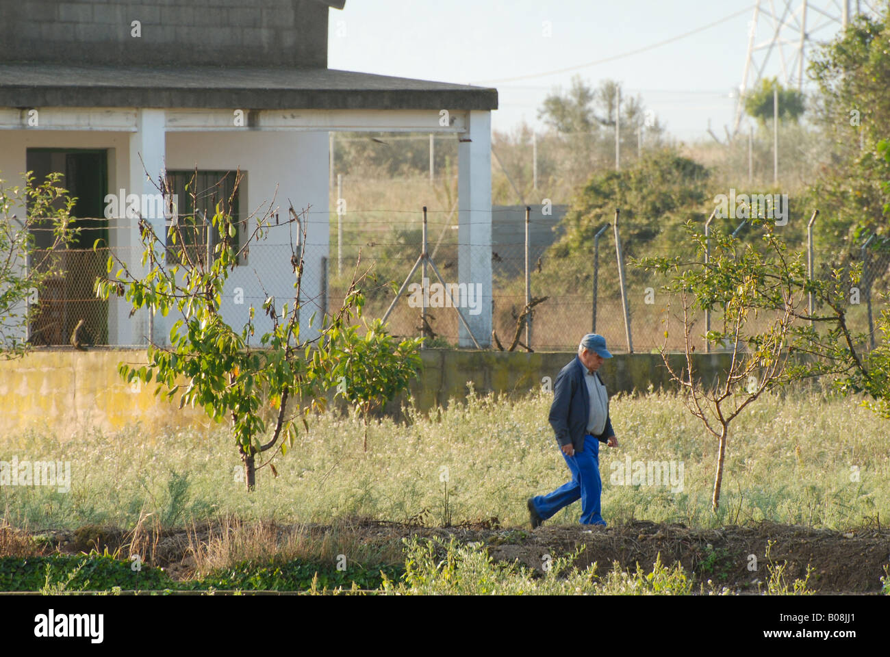 Man tending plants trees farmer Stock Photo - Alamy