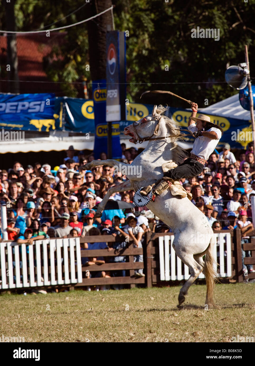 rodeo horse fiesta gaucho cow-boy cowboy danger Stock Photo - Alamy