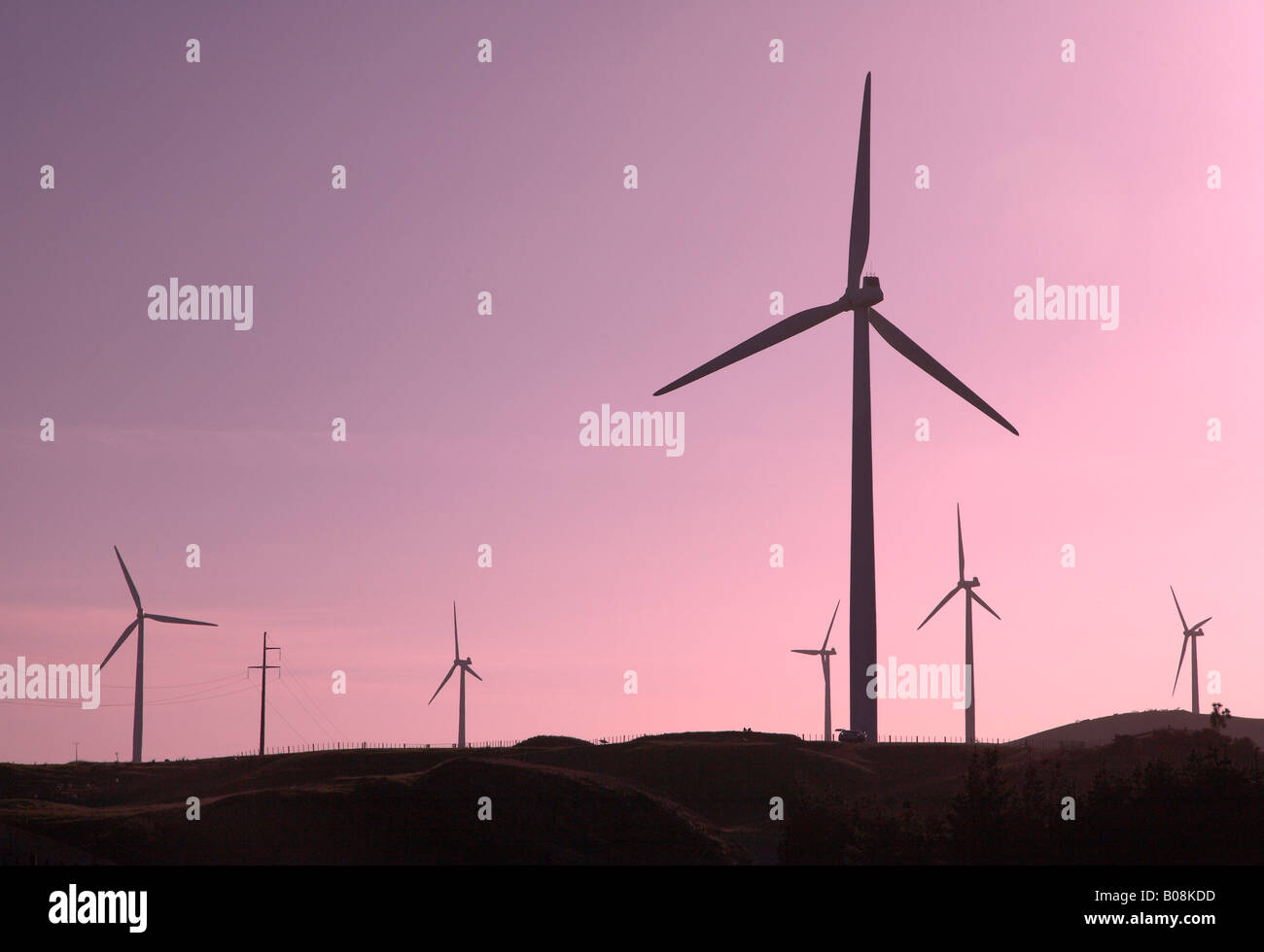 Palmerston north te apiti hi-res stock photography and images - Alamy