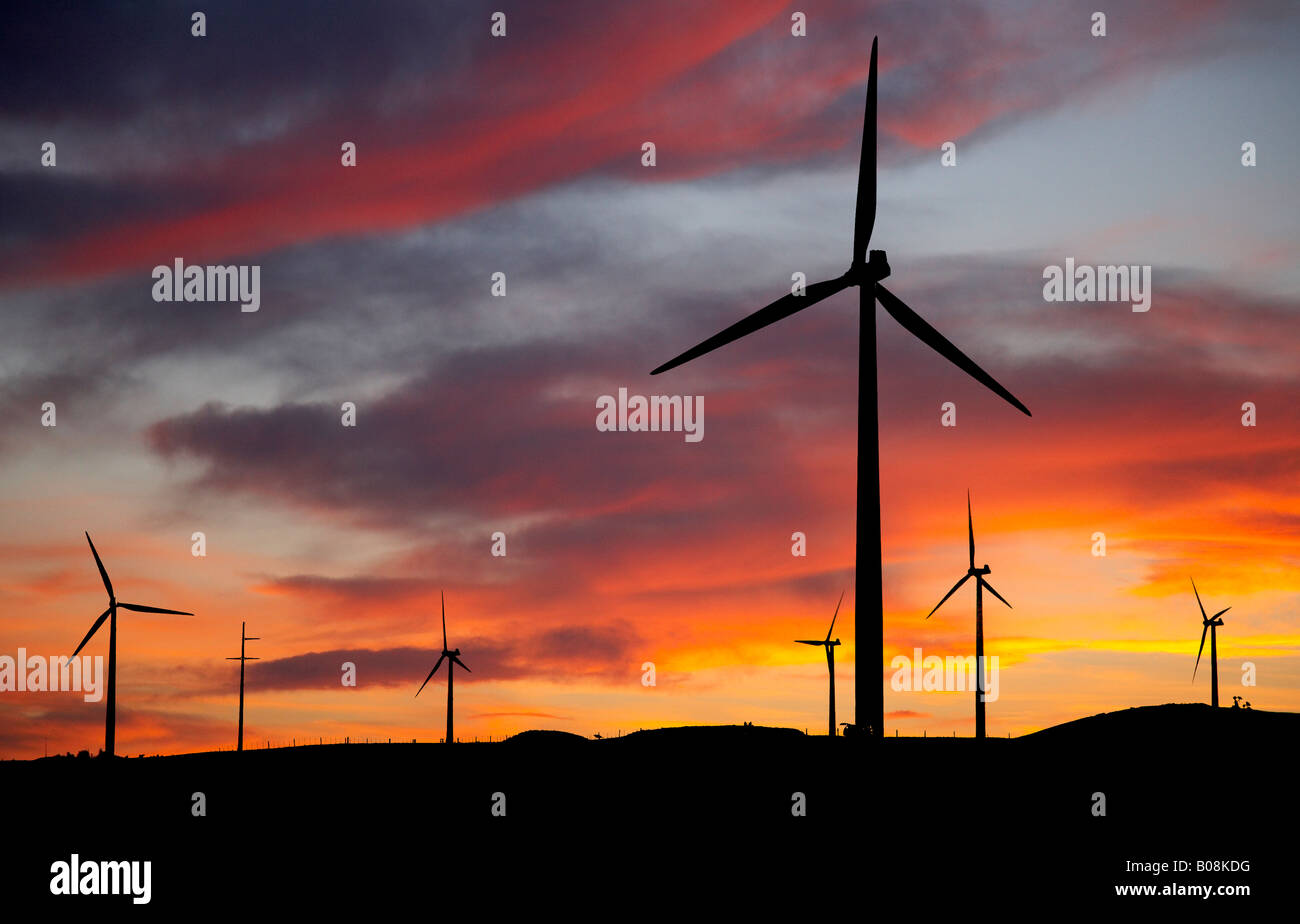 Apiti wind hi-res stock photography and images - Alamy