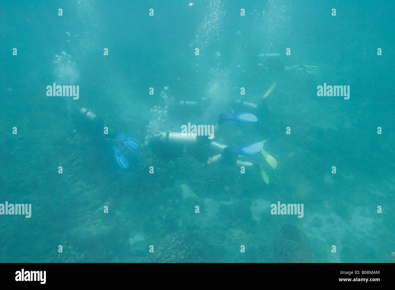 Diver at tank hi-res stock photography and images - Alamy