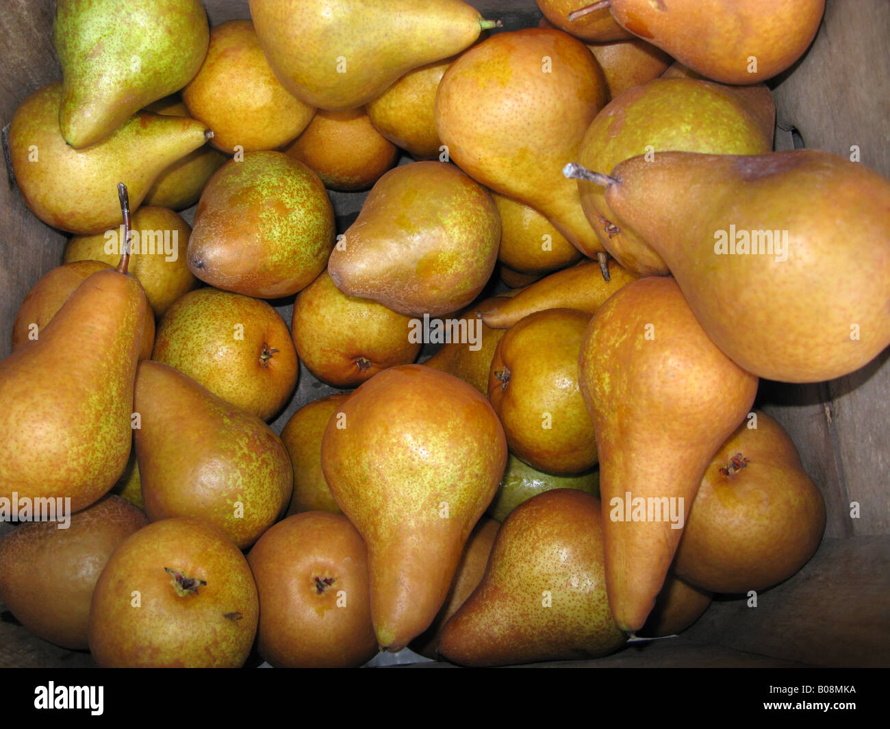 Perry pears hi-res stock photography and images - Alamy