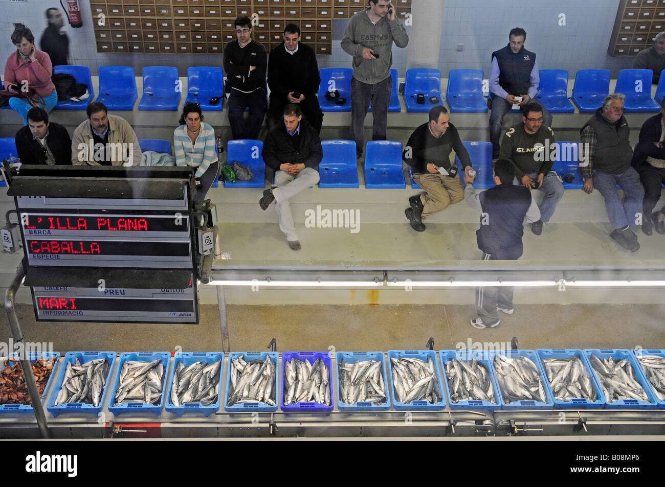 Fish auction hall, fishing port, Denia, Valencia, Costa Blanca, Spain ...