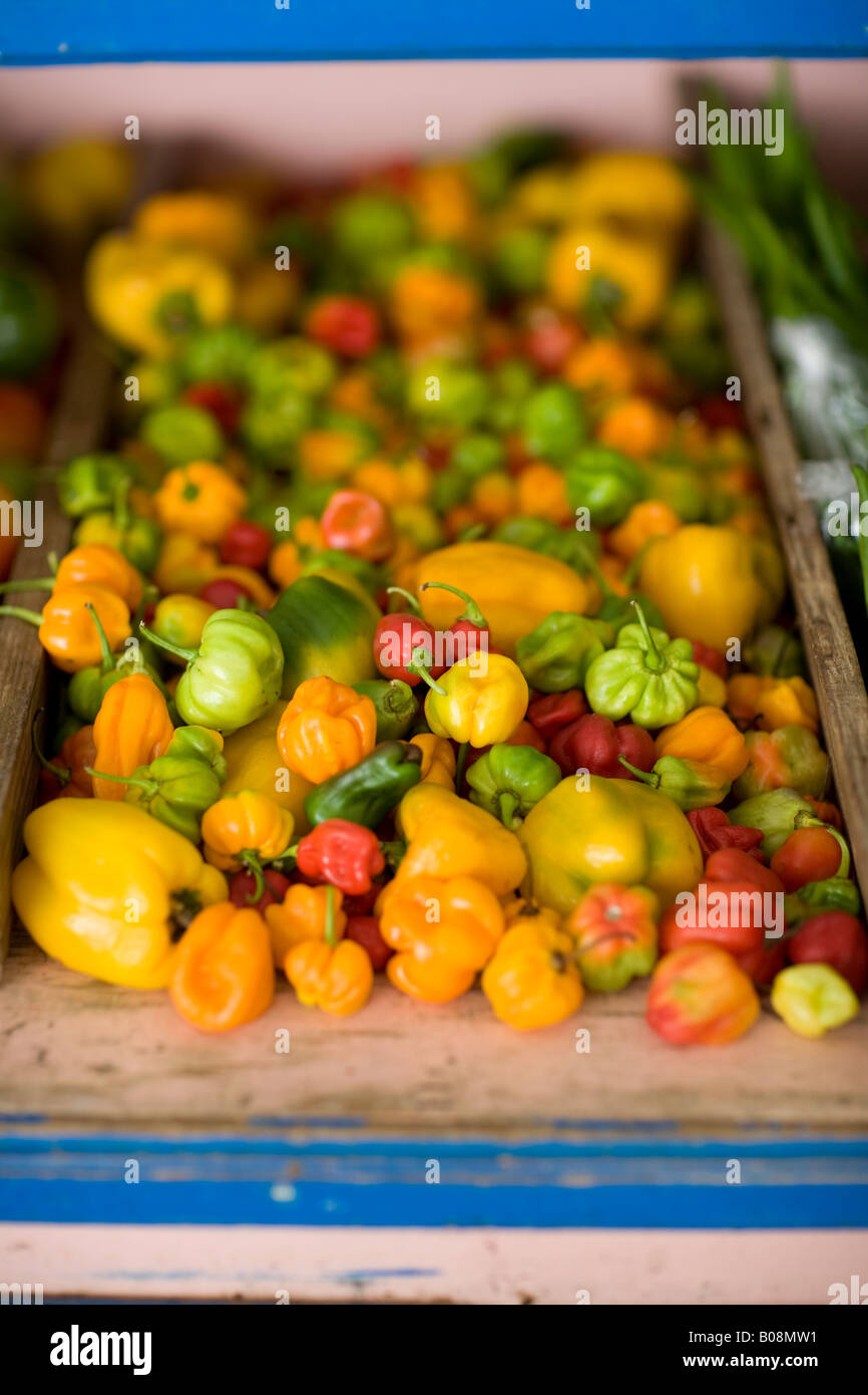 Chilli chili pepper hi-res stock photography and images - Alamy