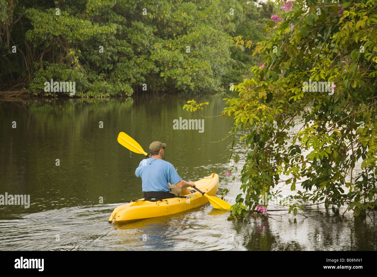 Man kayaking in Settee River, Jaguar Reef Lodge, Hopkins, Stann Creek ...