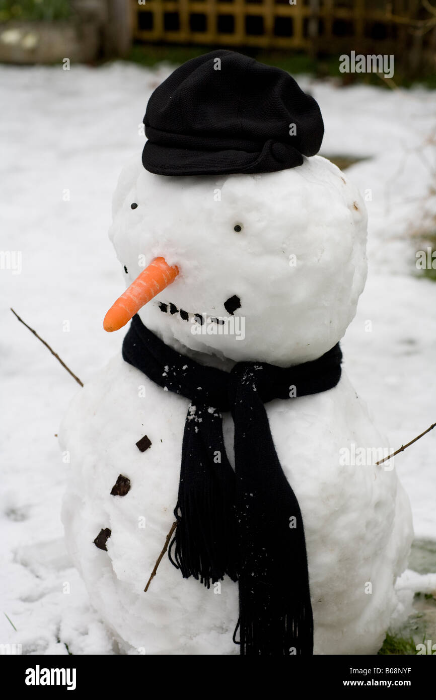 Snowman garden hi-res stock photography and images - Alamy
