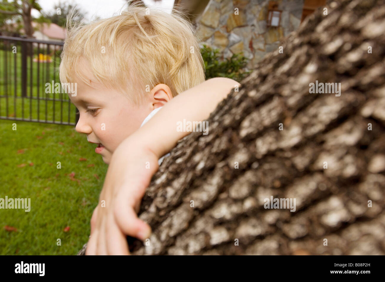 Little boy climbing tree Stock Photo - Alamy