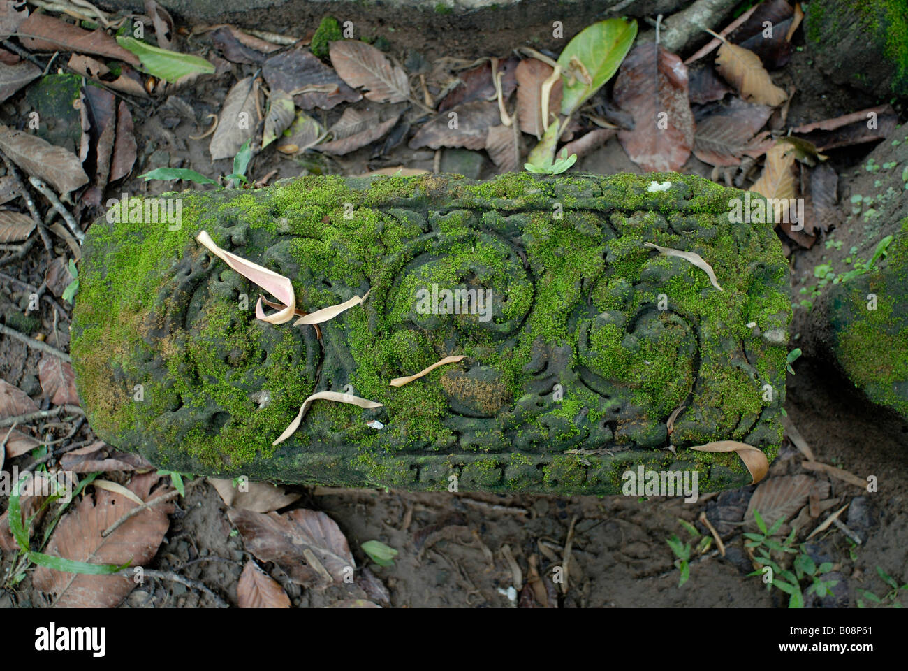 Moss-covered relief, ruins in Angkor, Cambodia, Southeast Asia Stock ...
