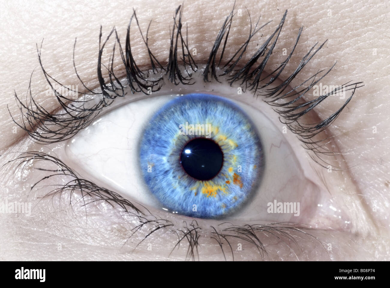 a woman's blue eye Stock Photo - Alamy