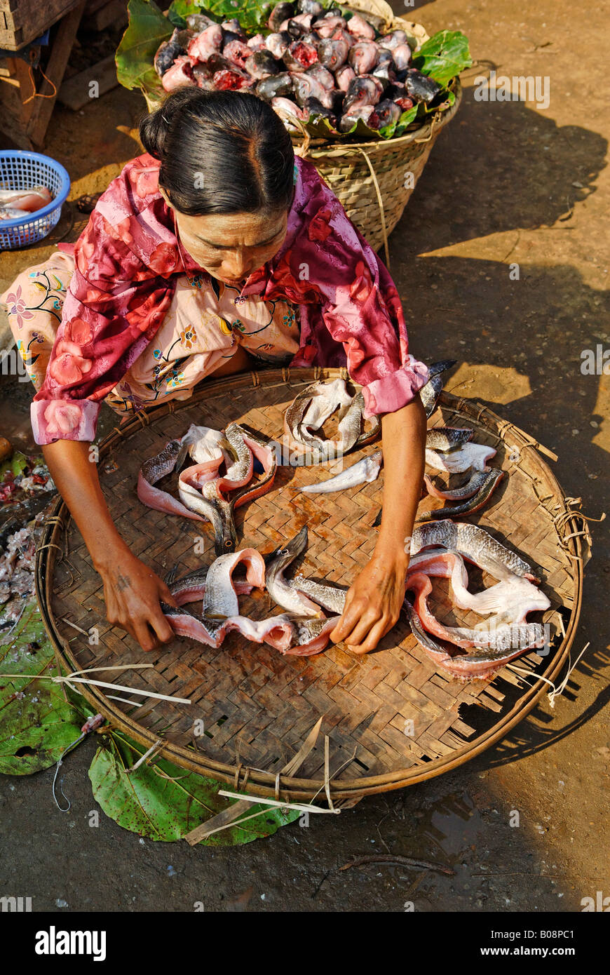 Woman selling fish at a market in Myanmar (Burma), Southeast Asia Stock ...