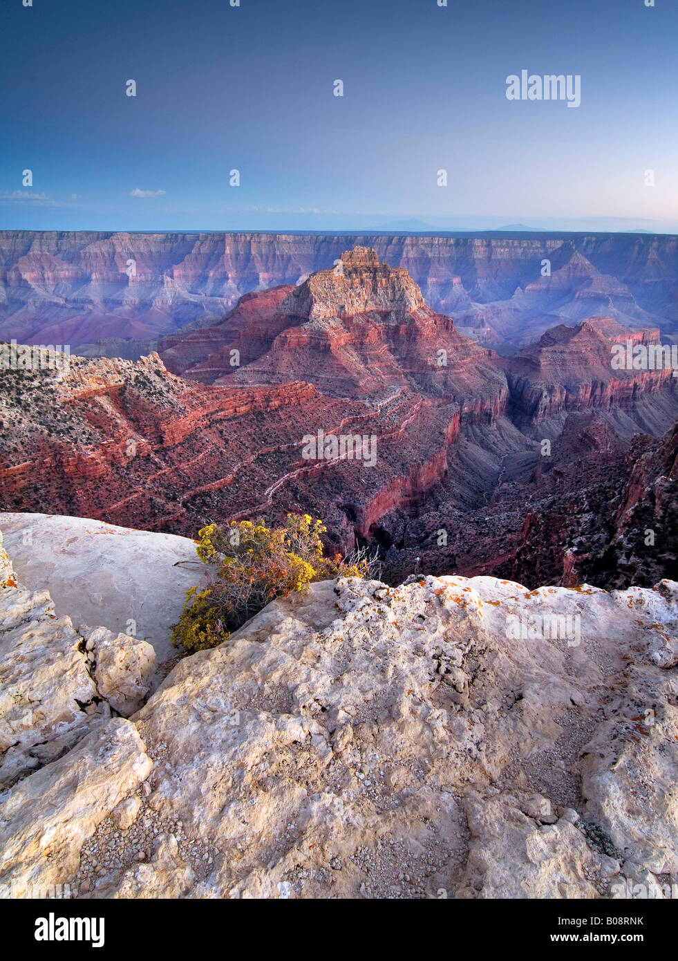 Cape Royal, North Rim, Grand Canyon National Park, Arizona, USA Stock ...