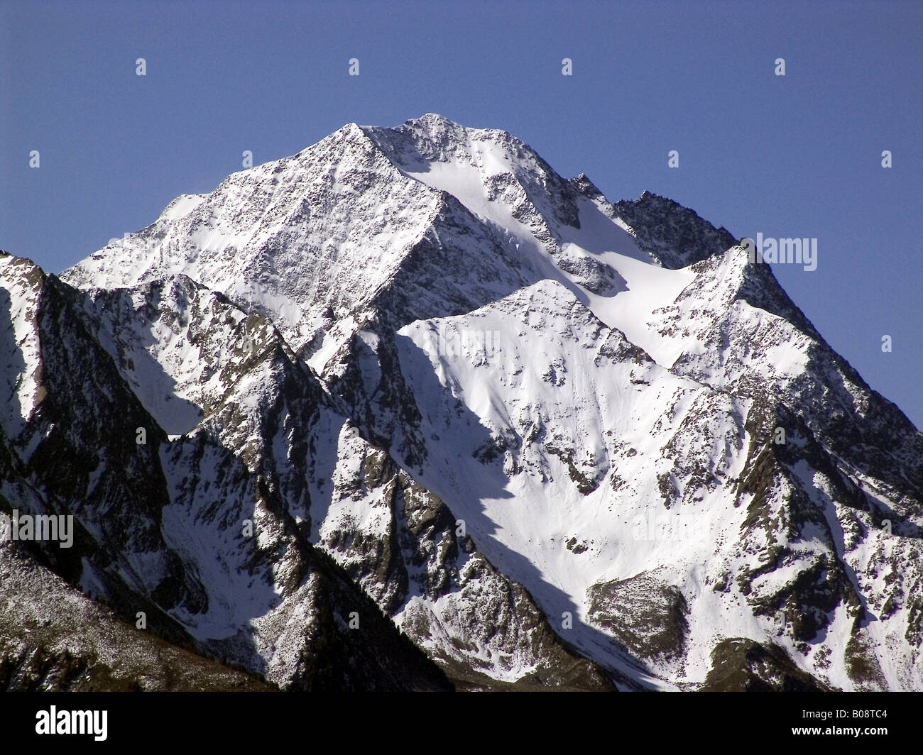Habicht hi-res stock photography and images - Alamy