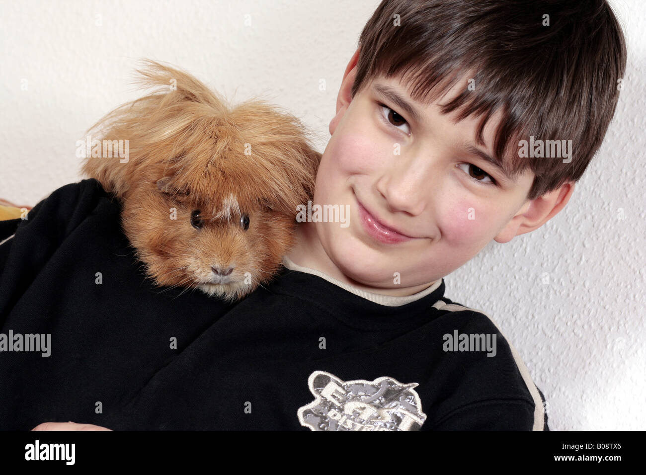 young boy with Guinea pig on his shoulder Stock Photo - Alamy