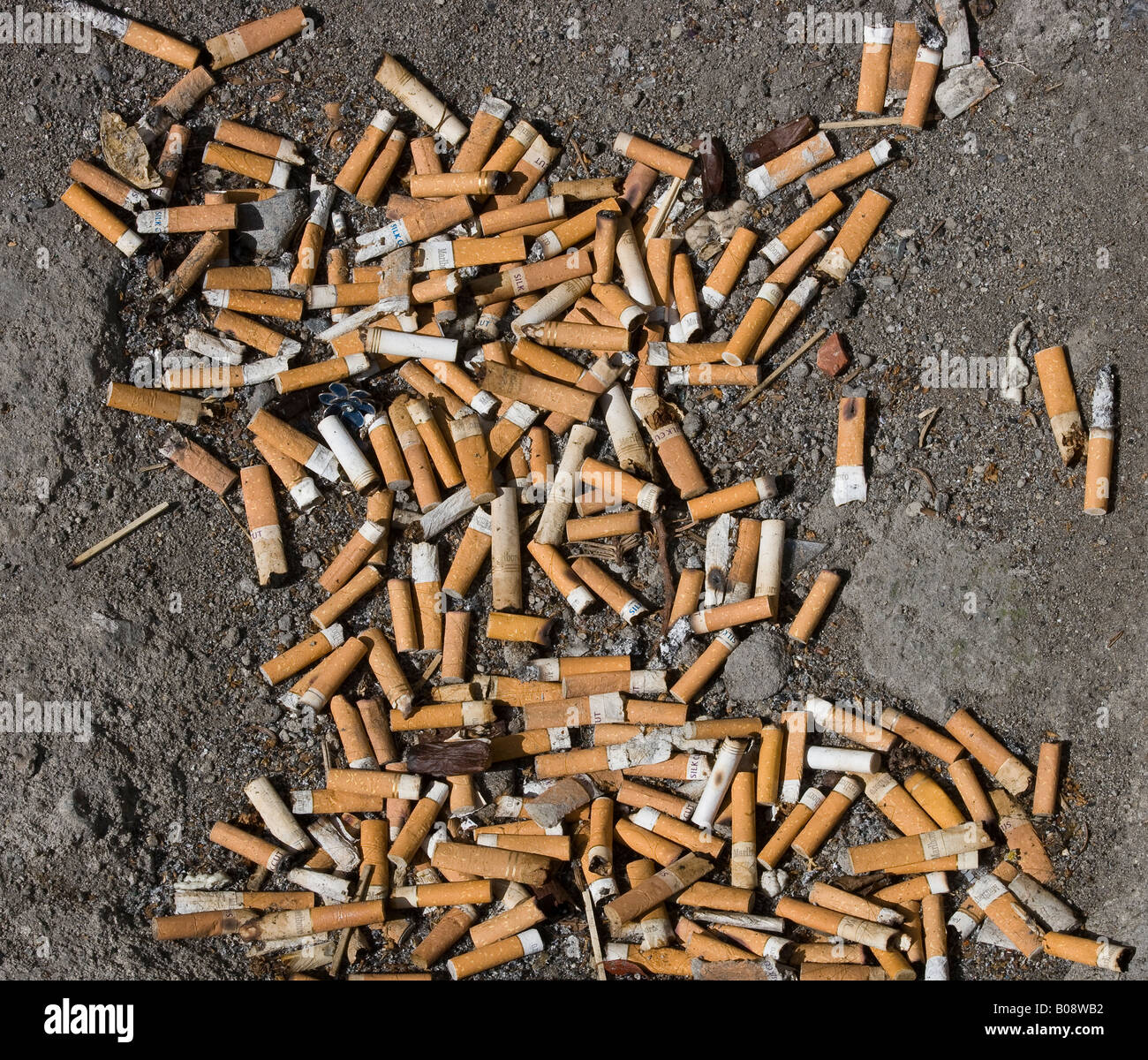 quantity of cigarette butts on the ground Stock Photo - Alamy