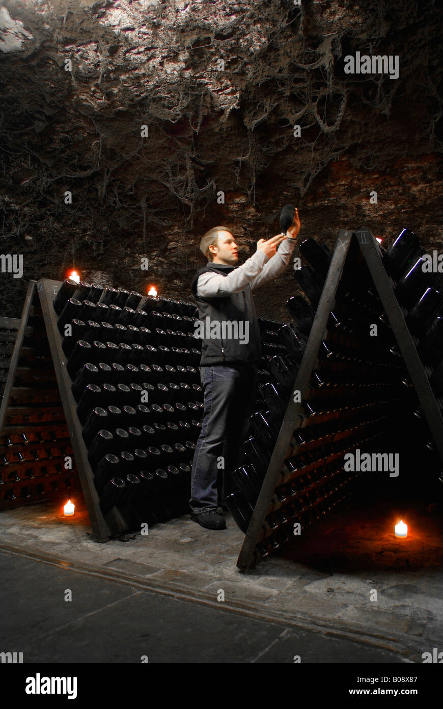 Cellarer conducting quality control in an old vault cellar, checking ...
