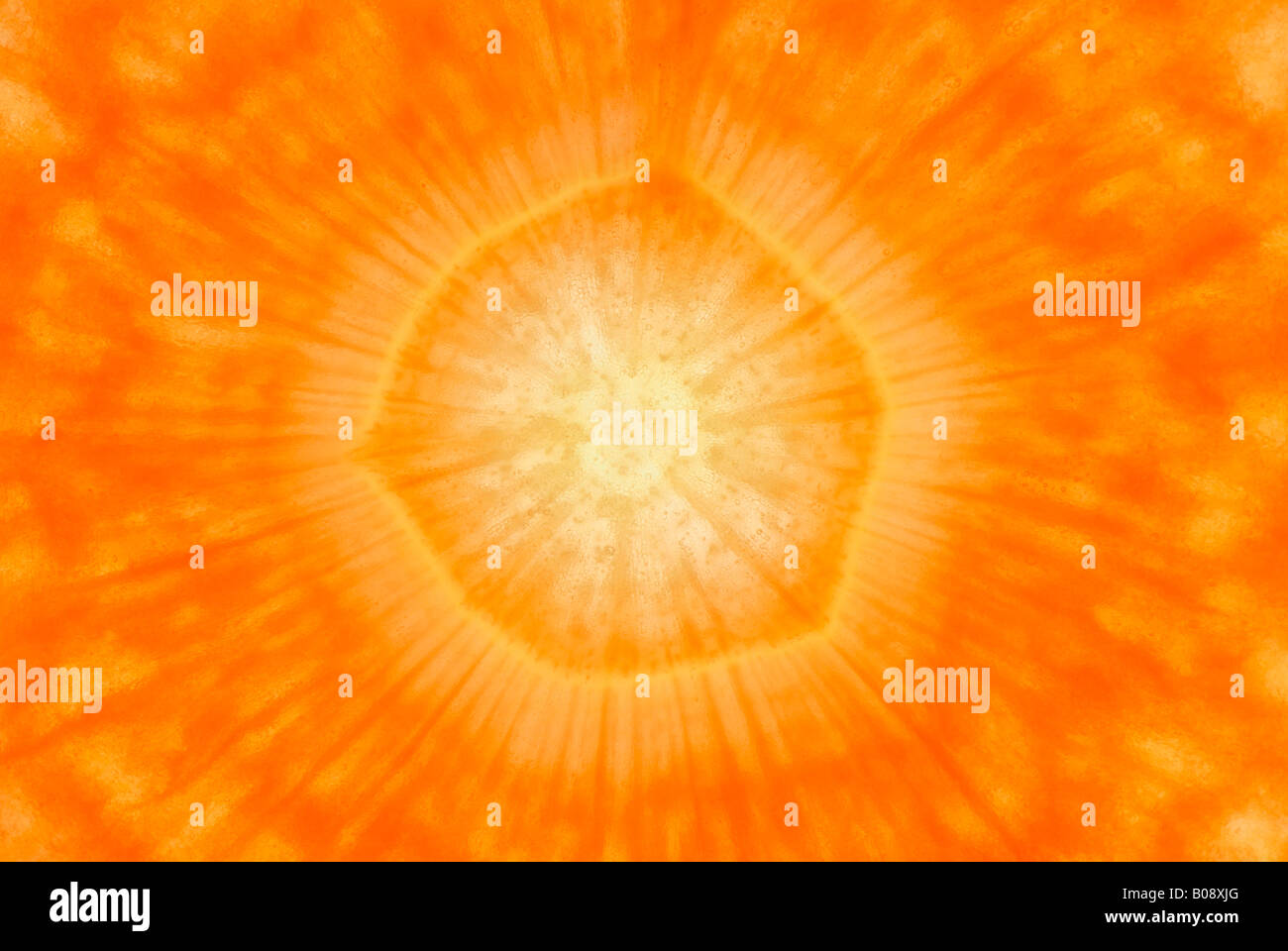 Internal texture hi-res stock photography and images - Alamy