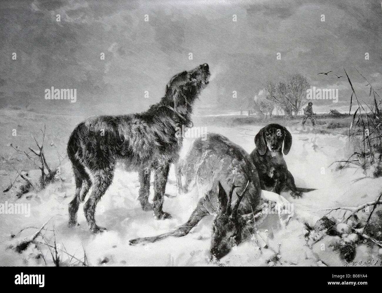 Der weisse bock hi-res stock photography and images - Alamy