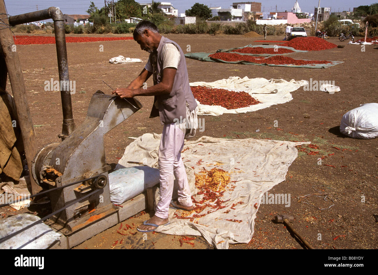 Grinding dried chillies hi-res stock photography and images - Alamy