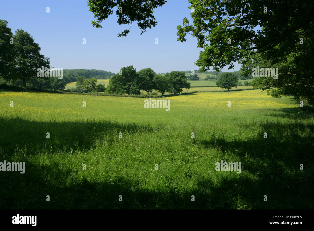 Quintessential English summer countryside Stock Photo - Alamy