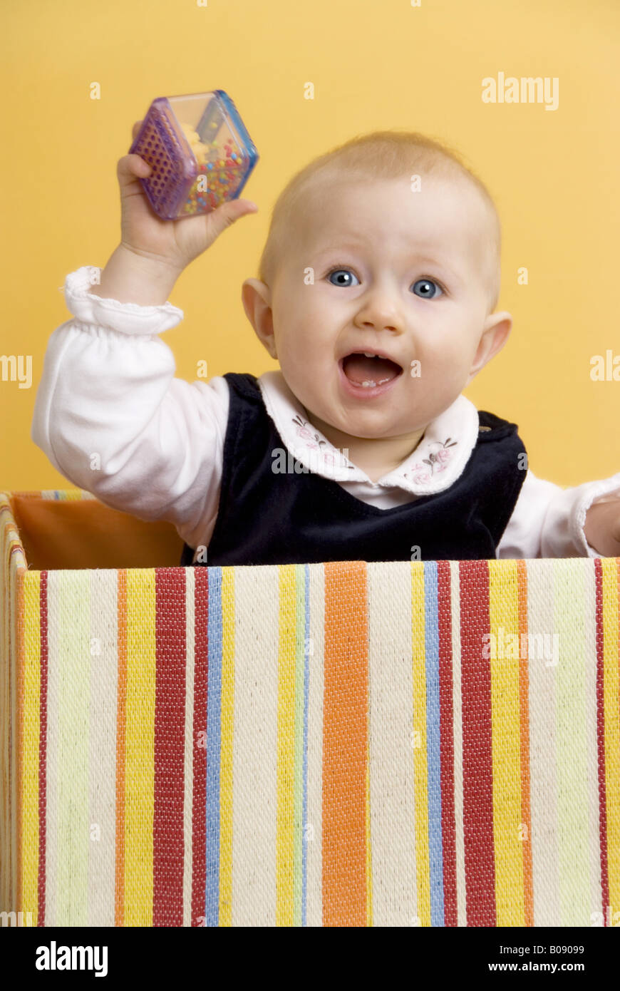 Rattle box hi-res stock photography and images - Alamy