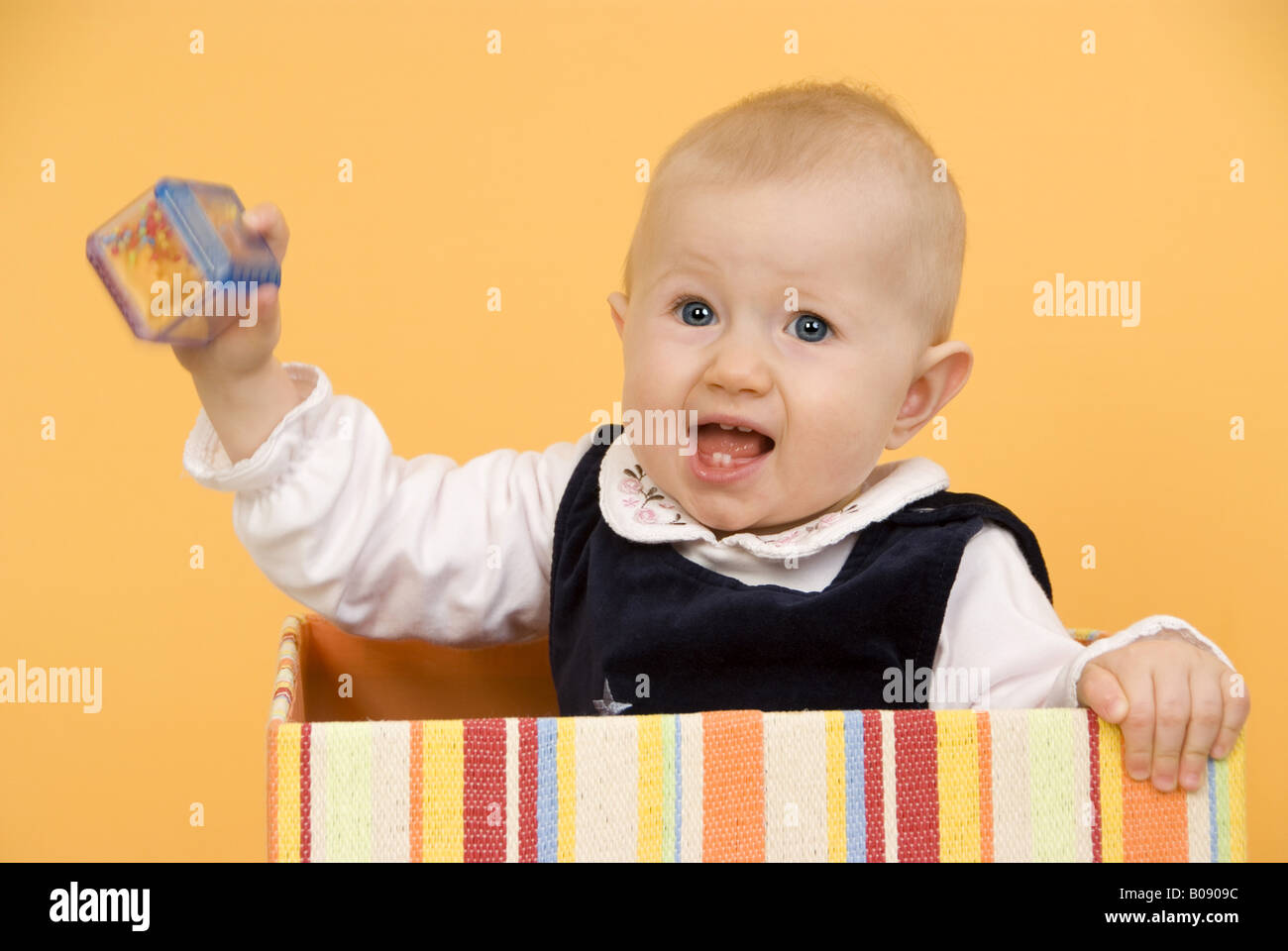 Rattle box hi-res stock photography and images - Alamy