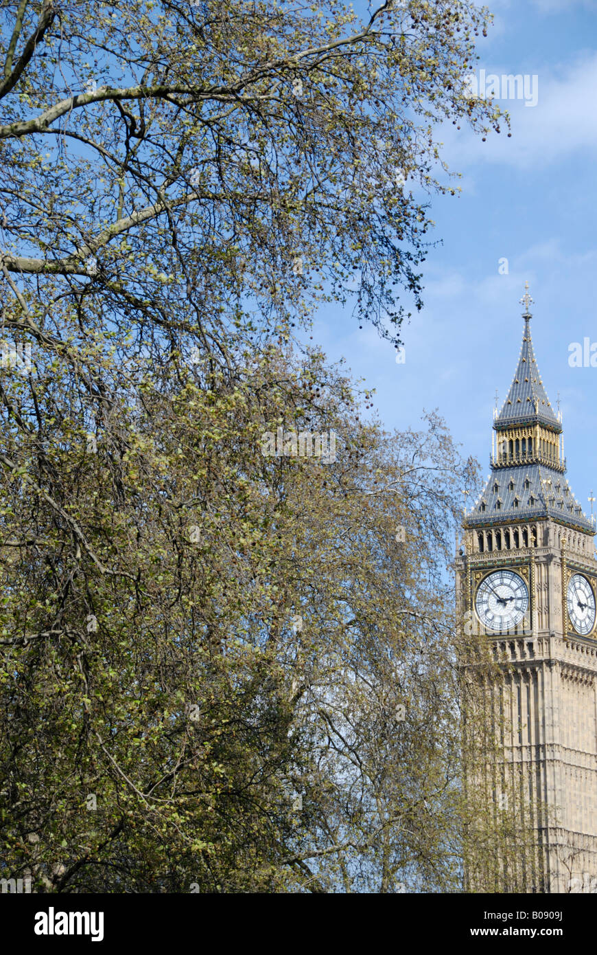 Trees distant view hi-res stock photography and images - Alamy