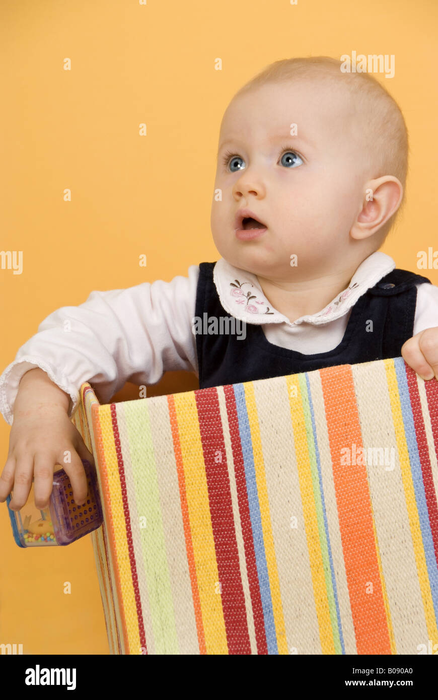 Rattle box hi-res stock photography and images - Alamy